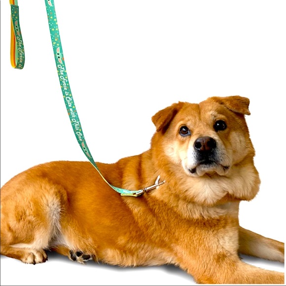 Star Wars | Dog | Star Wars The Mandalorian Grogu 6 Dog Leash Nwt 2 ...